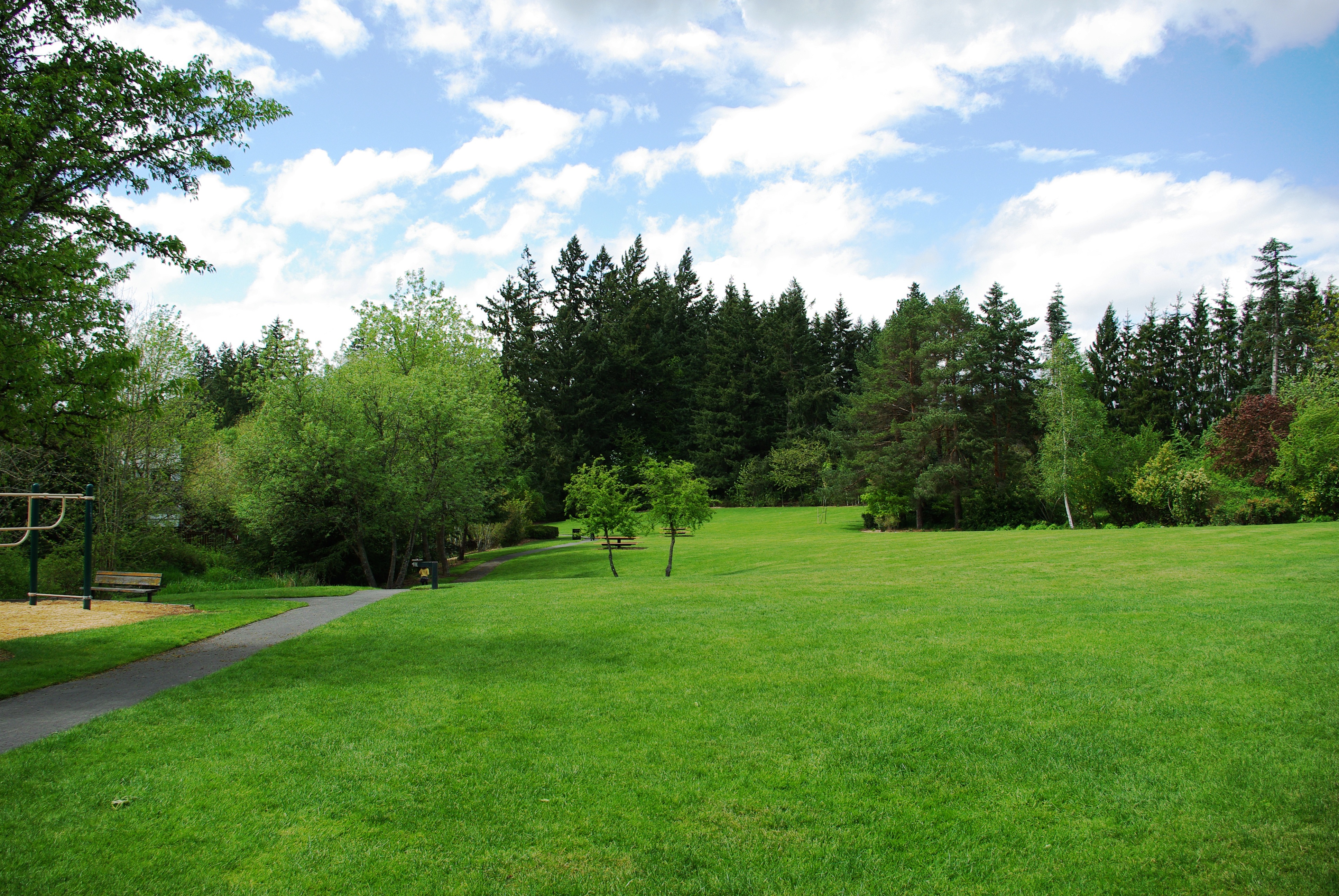 Lawn Care Schedule Austin Texas